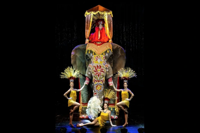 Cafè Chantant Rebelle: un tuffo nel passato con un tocco moderno | La ...